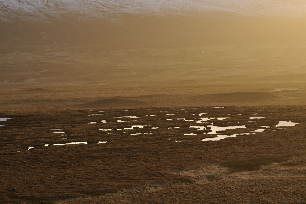 About - The Flow Country The Flow Country