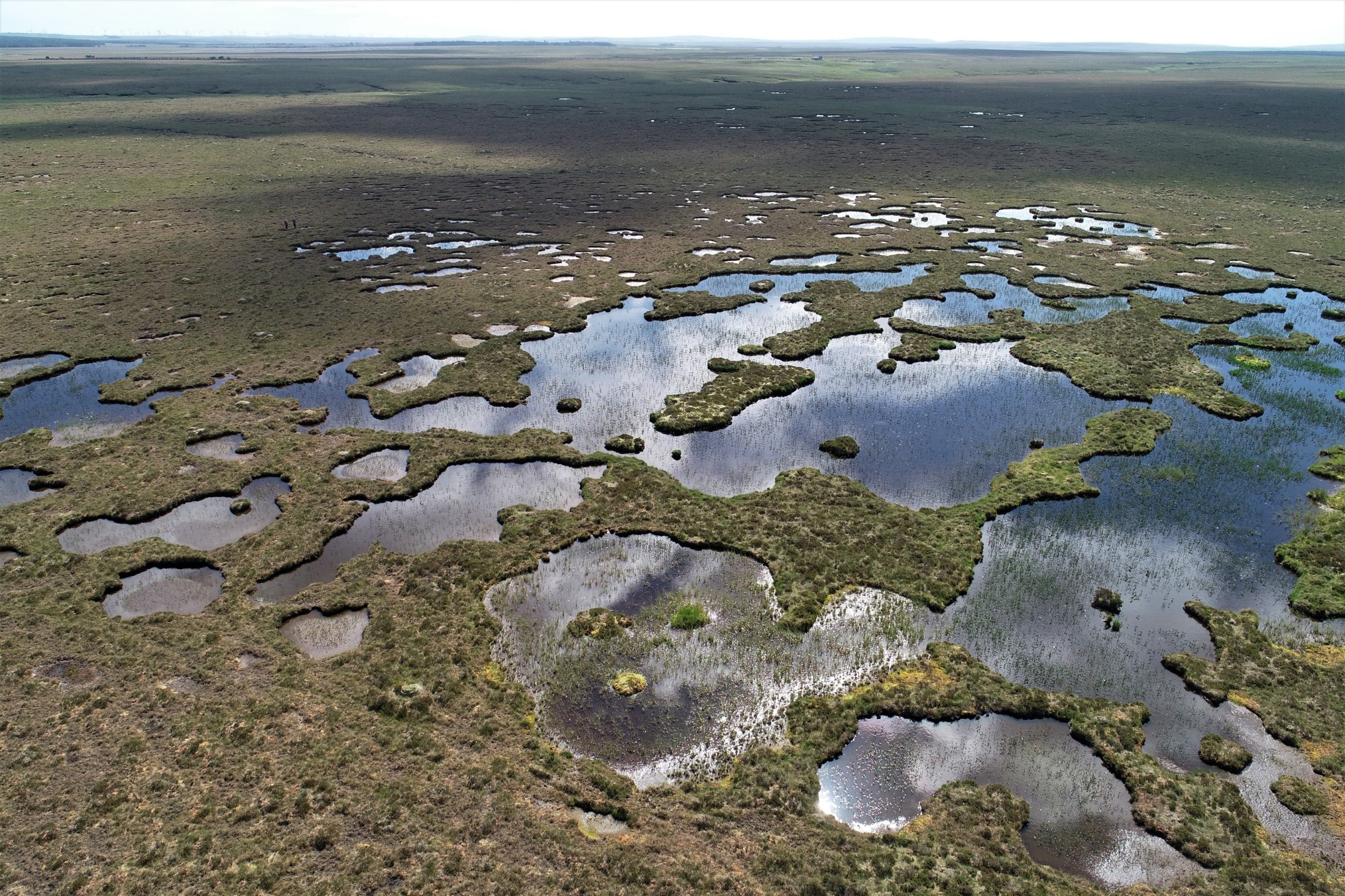 Flow Country World Heritage Volunteers 2024 - The Flow Country The Flow ...