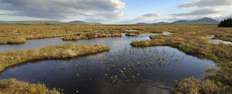 About Us - The Flow Country The Flow Country