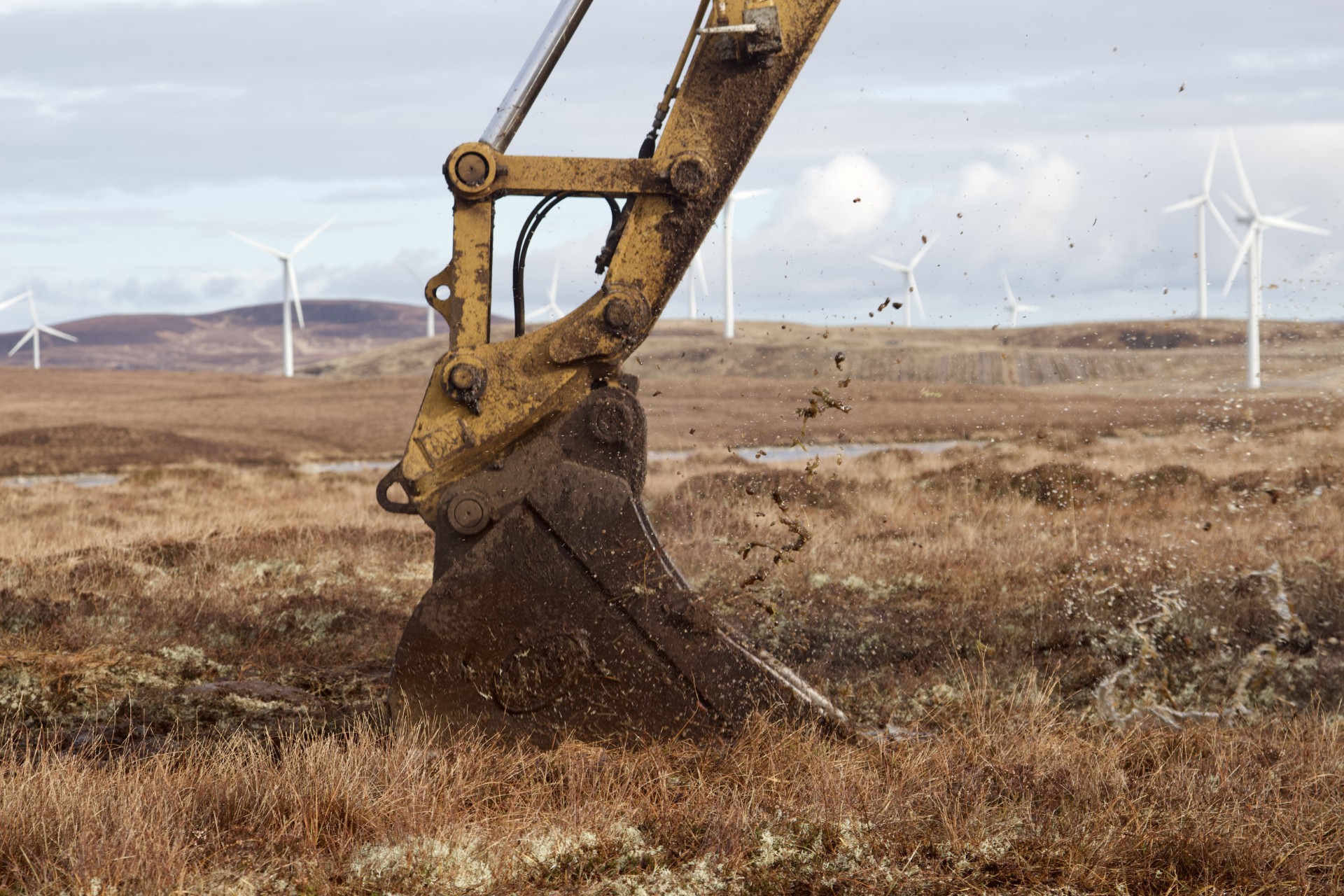 Green Finance Initiative - The Flow Country The Flow Country